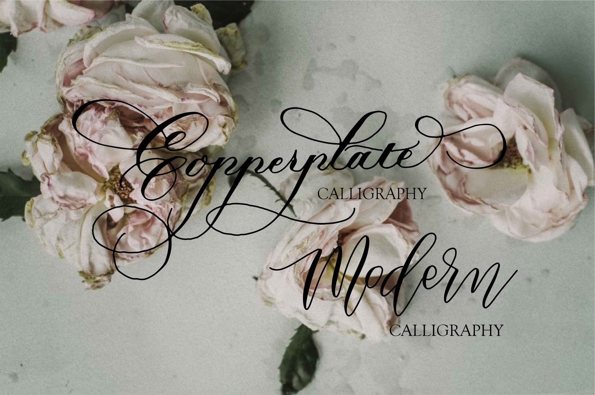 Modern Copperplate Calligraphy Modern Latest Calligraphy Art Design